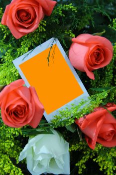 Flowers Frames